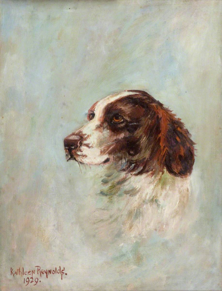 A Springer Spaniel's Head | Art UK