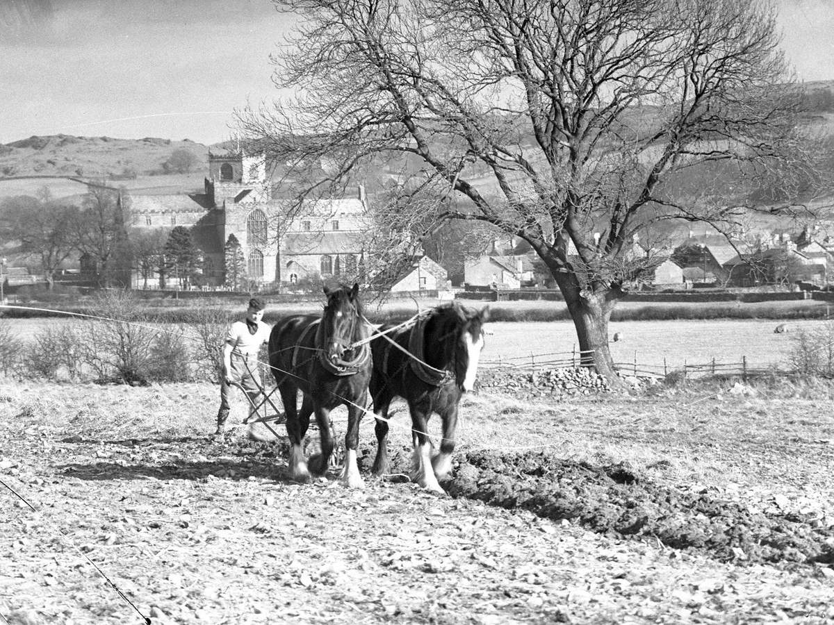 Horse Ploughing at Cartmel | Art UK