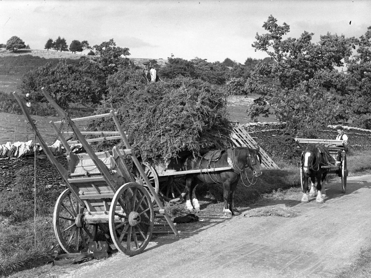 Loaded and Empty Hay Carts | Art UK