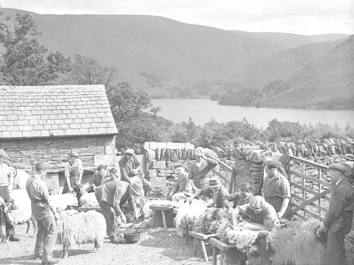 Shearing Scene | Art UK
