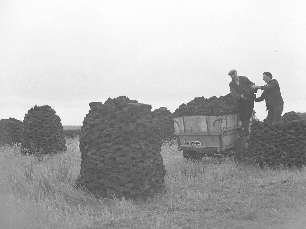 Stacking Peats | Art UK