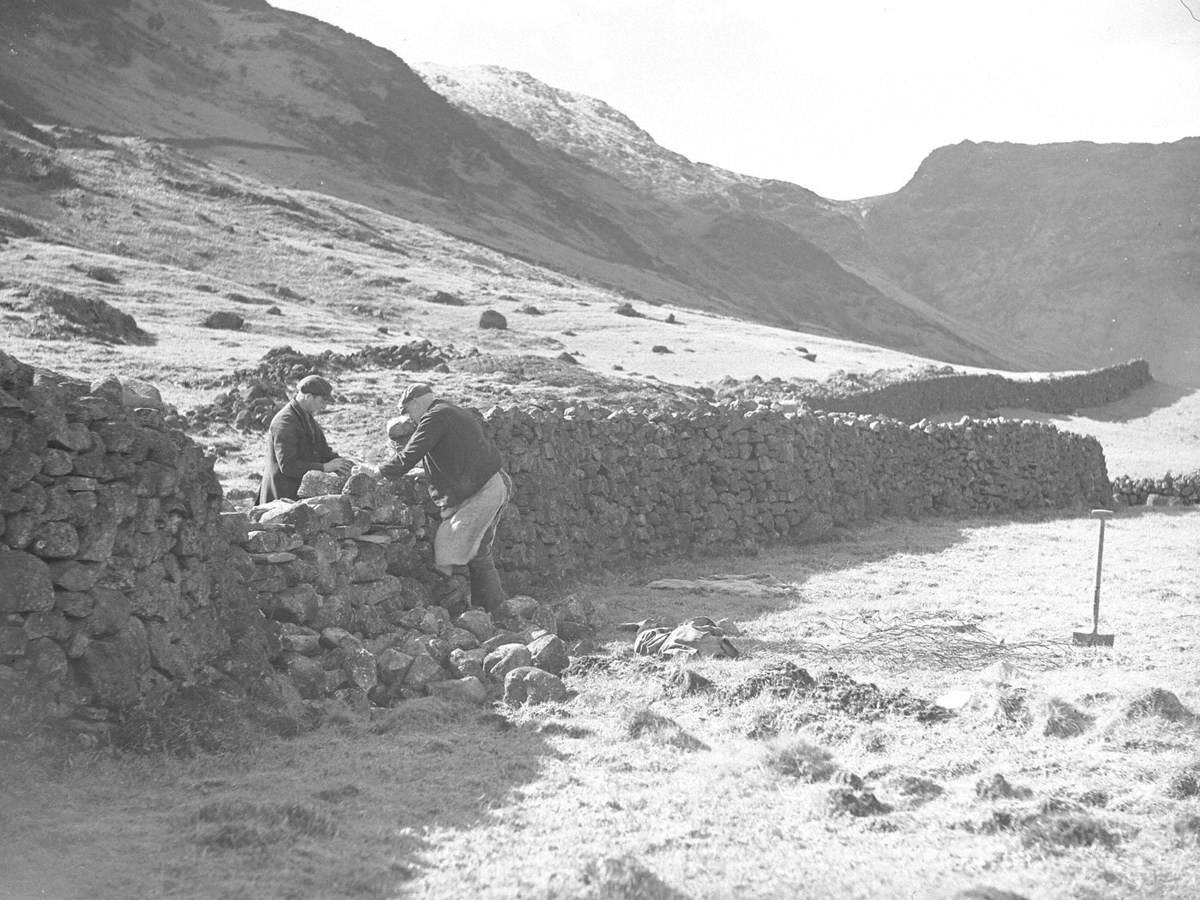 repairing-a-breached-wall-art-uk
