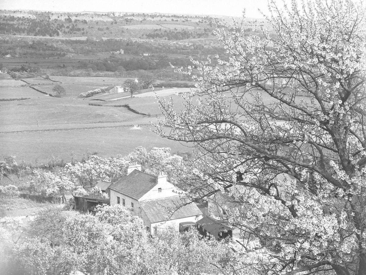 Lyth Valley | Art UK