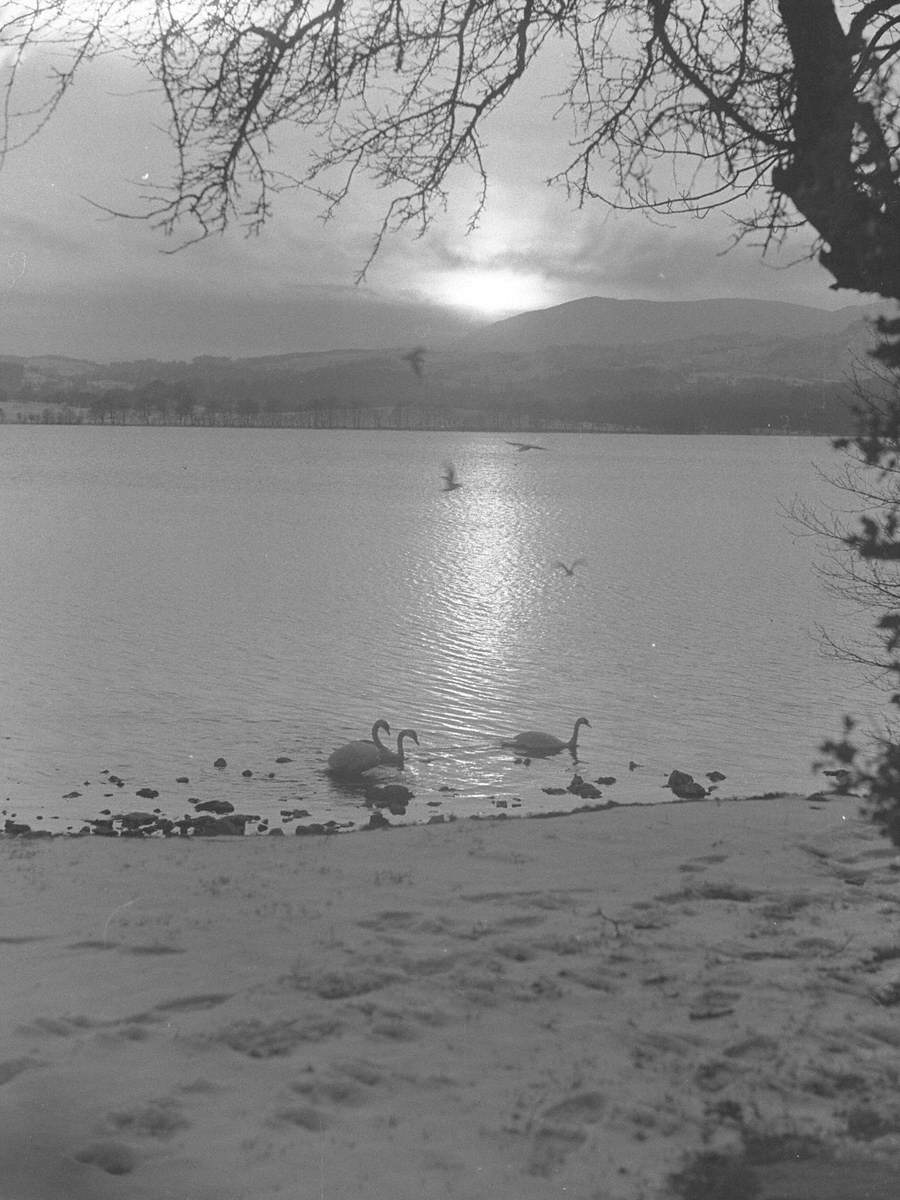 Winter on Windermere | Art UK