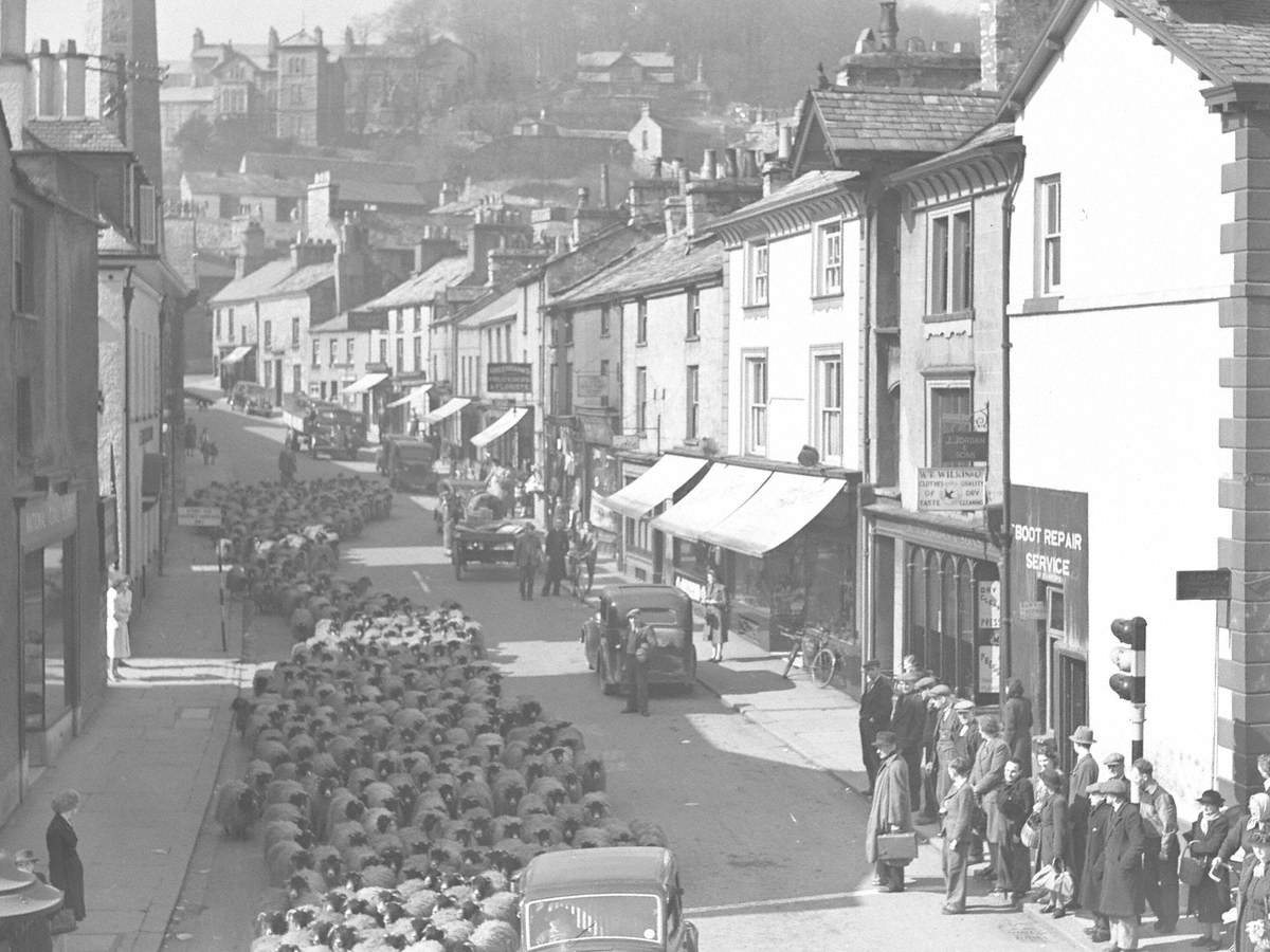 Sheep in All Hallows Lane, Kendal | Art UK