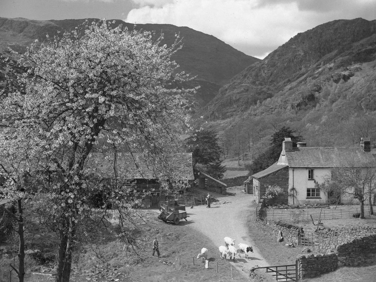 Yew Tree Farm, Coniston | Art UK