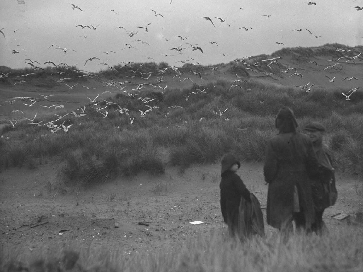 People at Gullery | Art UK