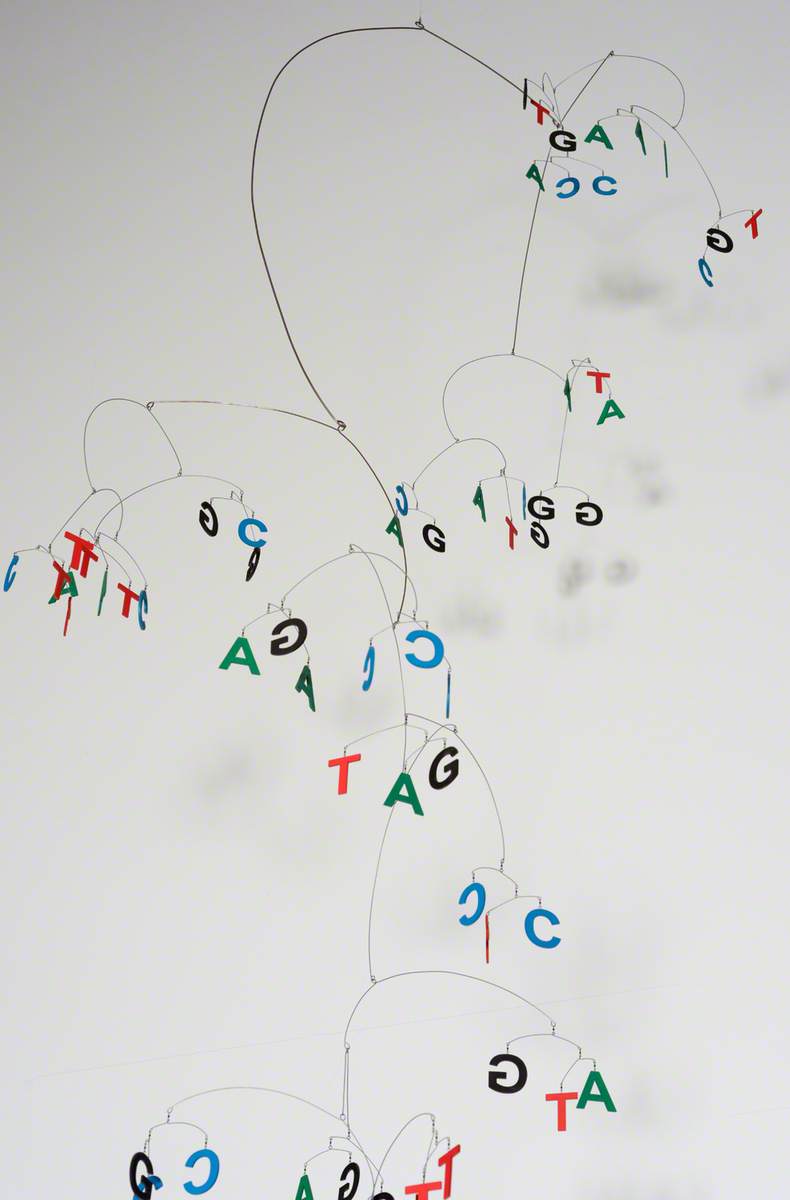 Codons Art Uk