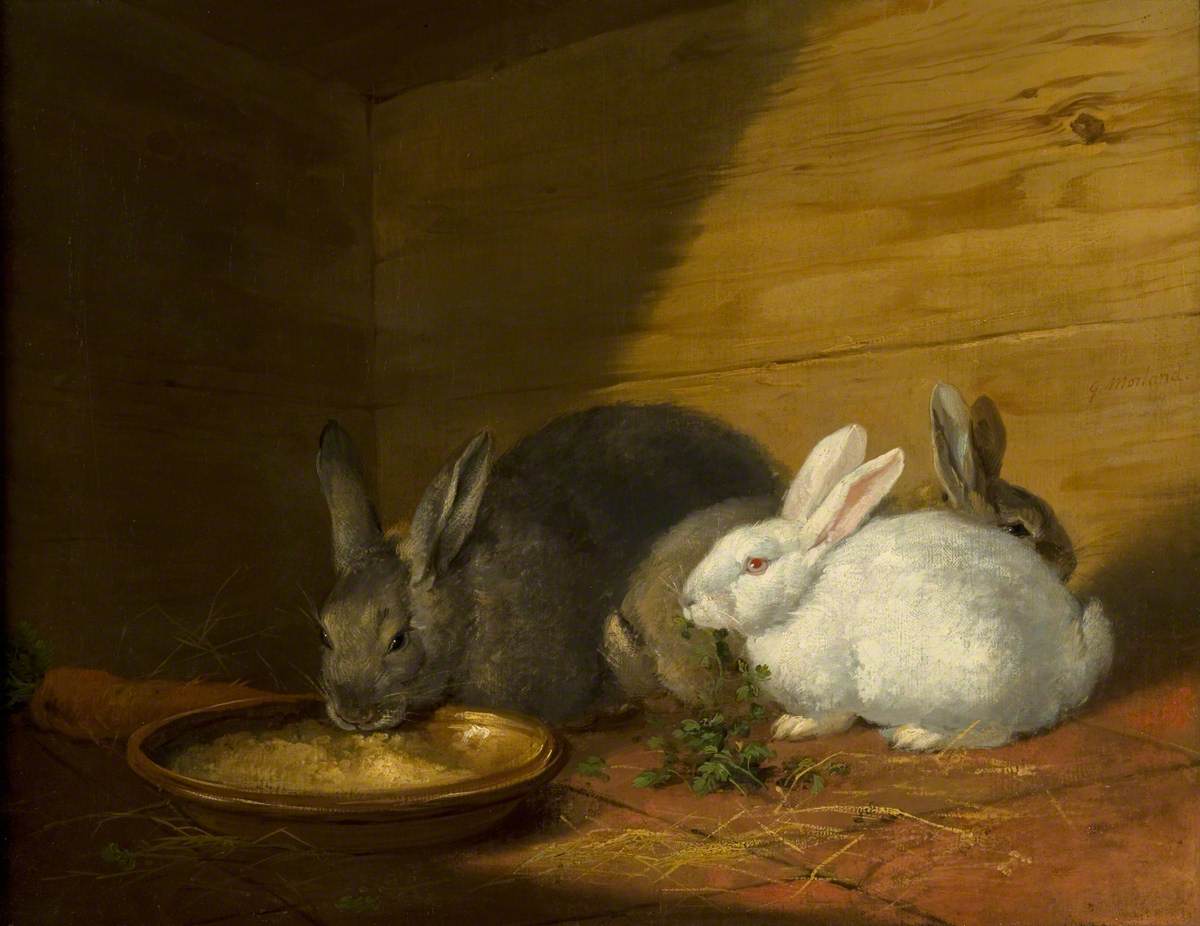 Rabbits | Art UK