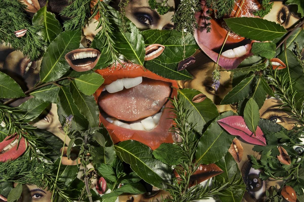 Bower of Bliss | Art UK