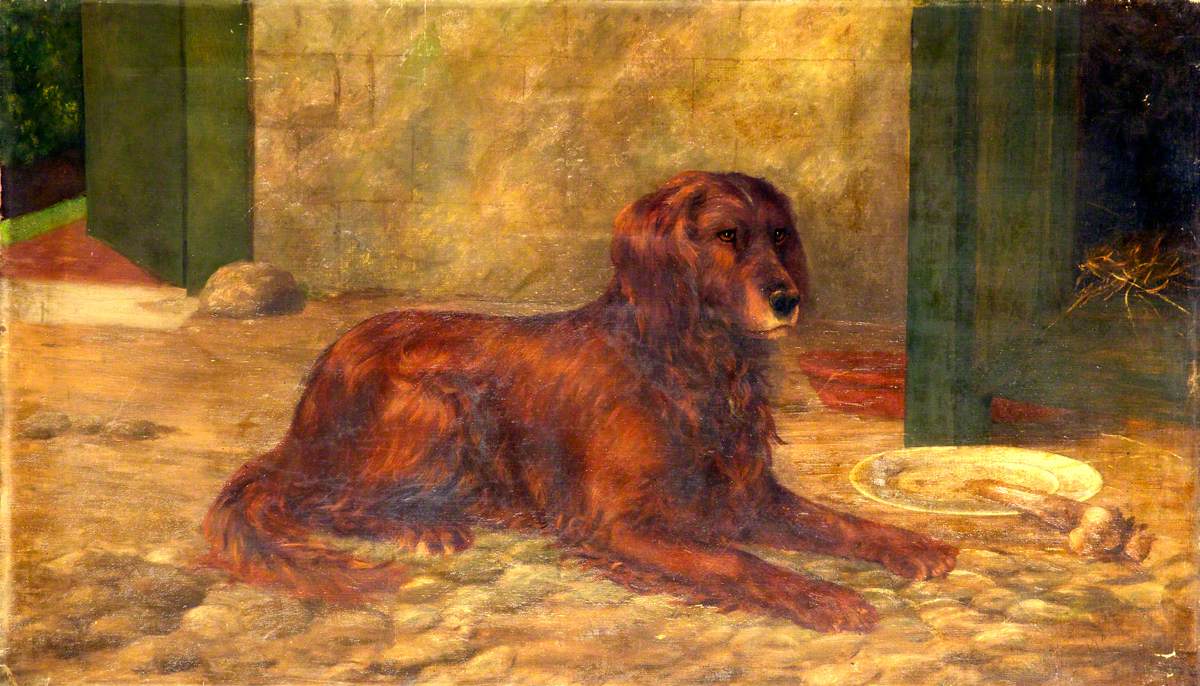 Red Setter | Art UK