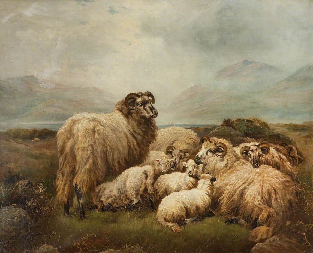 Sheep | Art UK