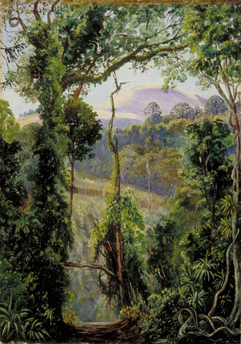 View Looking out of the Bunya Forest at the Summit, Queensland | Art UK