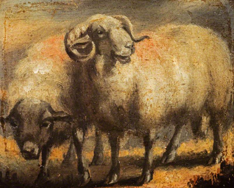 Sheep | Art UK