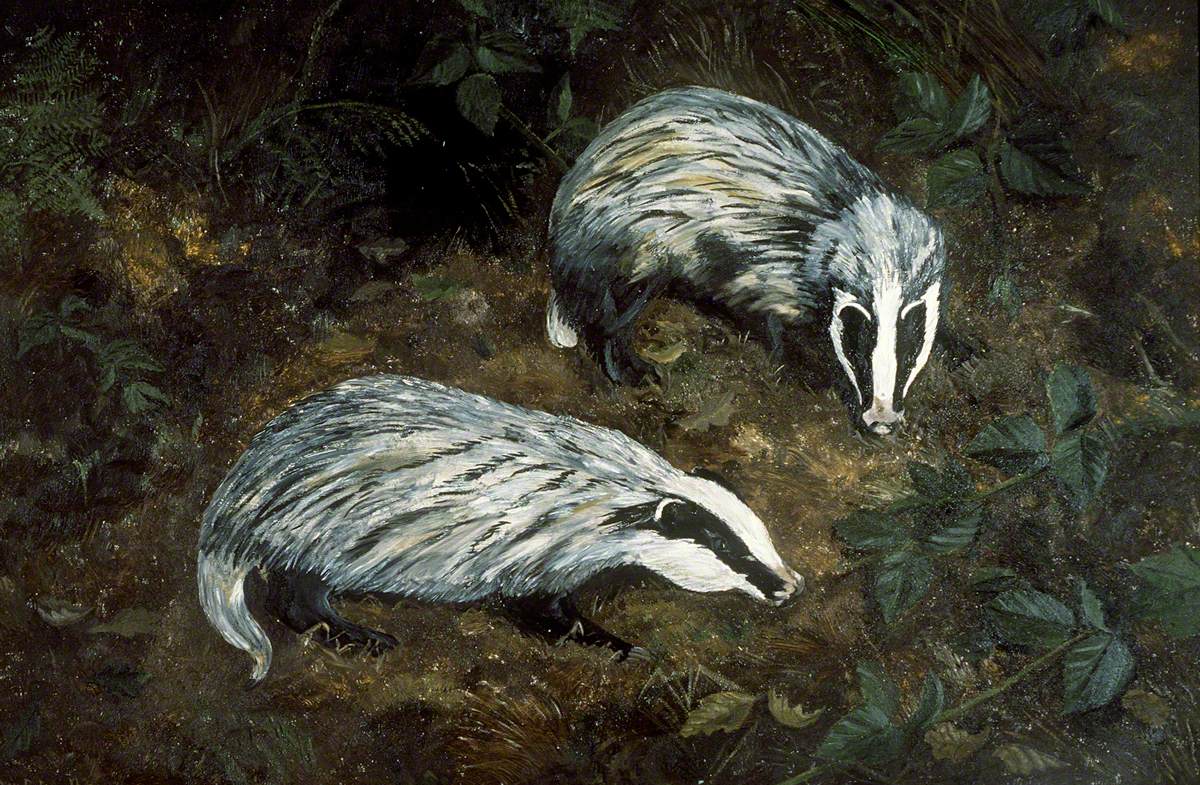 The Badgers | Art UK