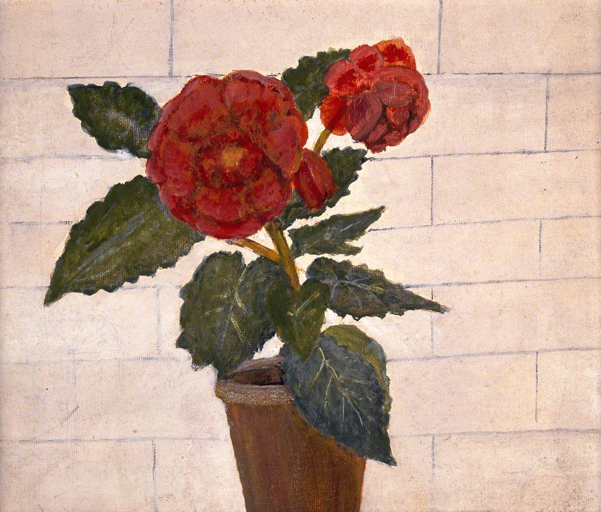 Begonia | Art UK