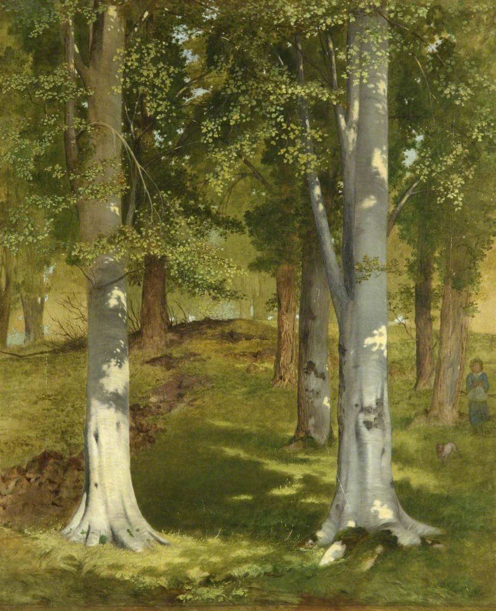 Beech Trees | Art UK