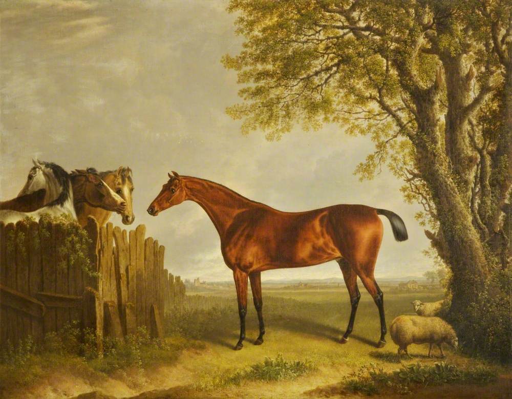 Mr Jackson's 'Hazard' | Art UK