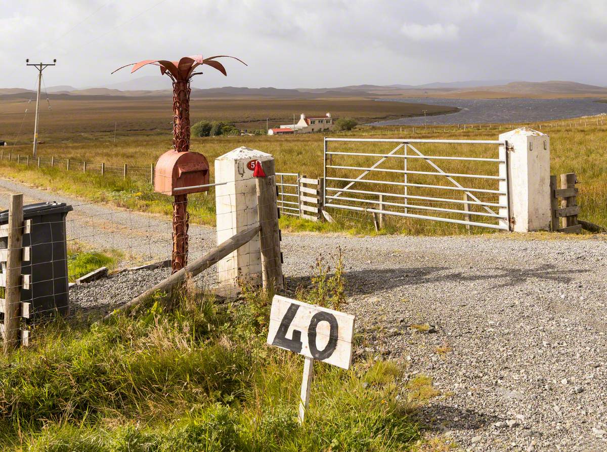 Palm Tree Letterbox | Art UK