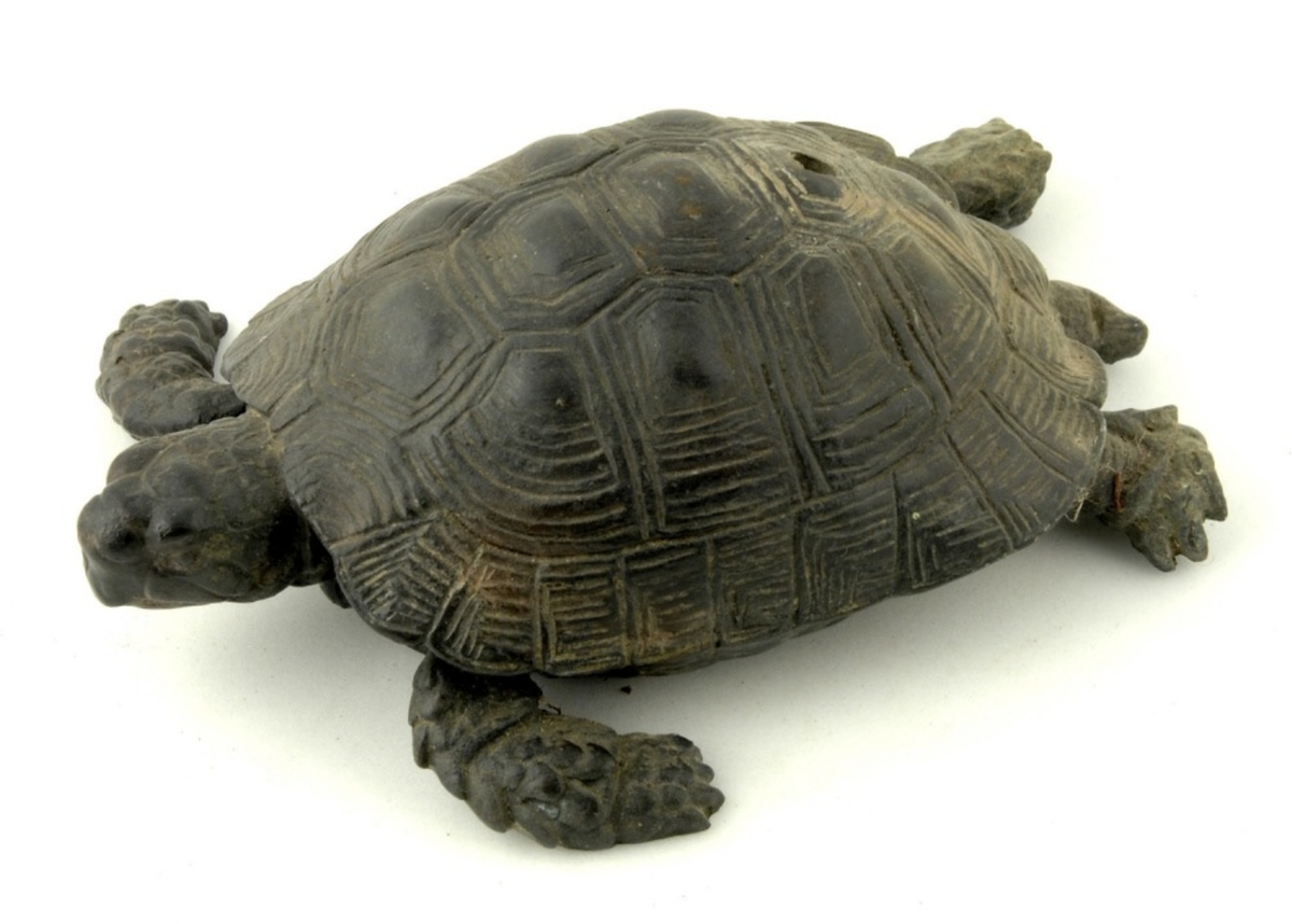 Tortoise | Art UK