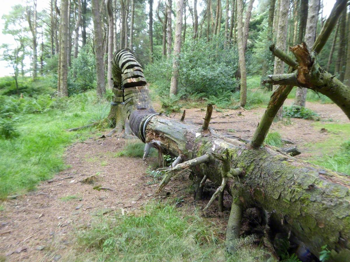 Reconnected 1 | Art UK