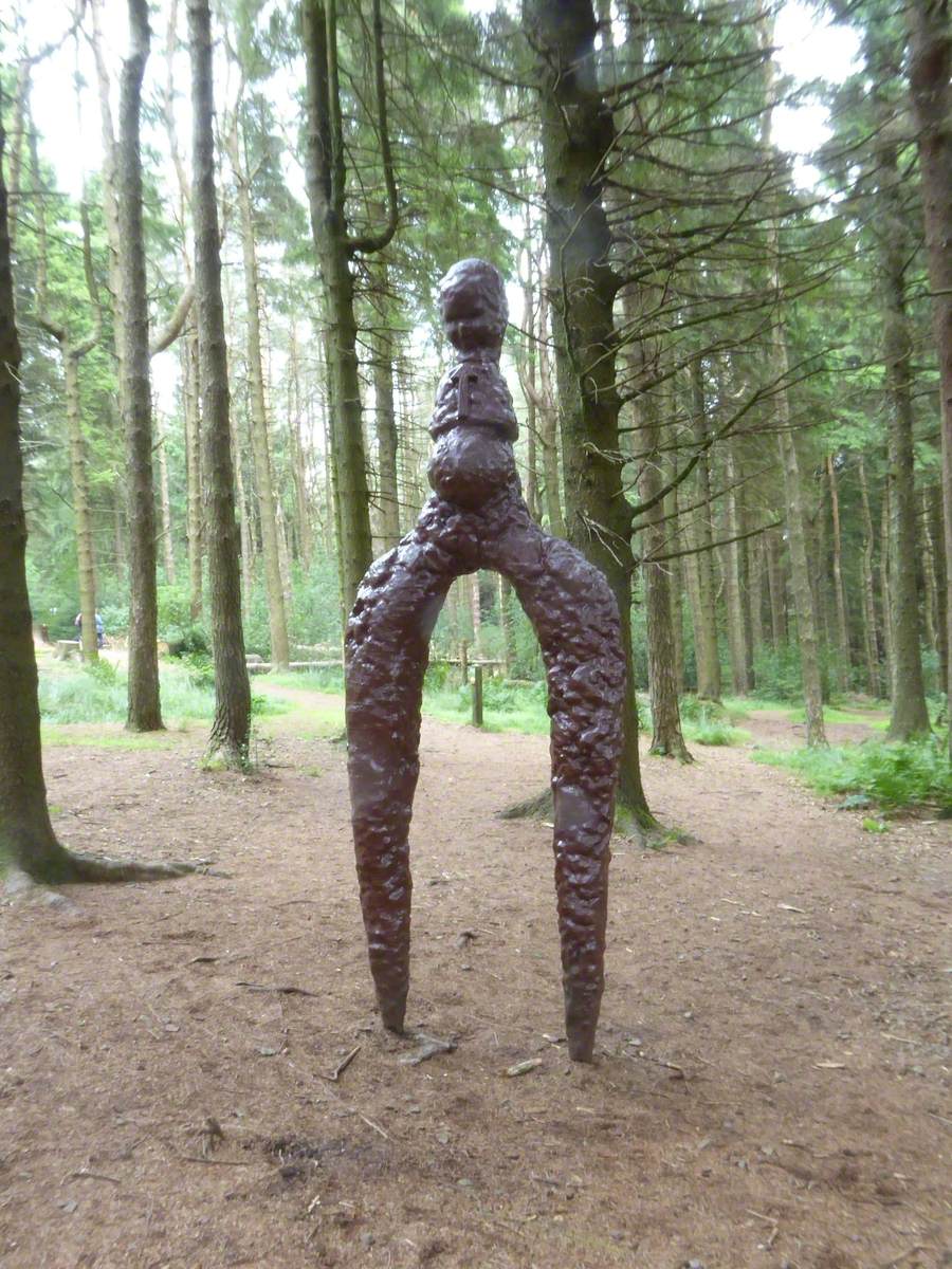 Wishing Widow | Art UK