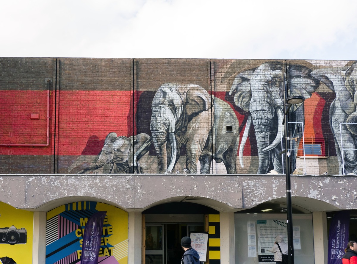A Memory of Elephants | Art UK