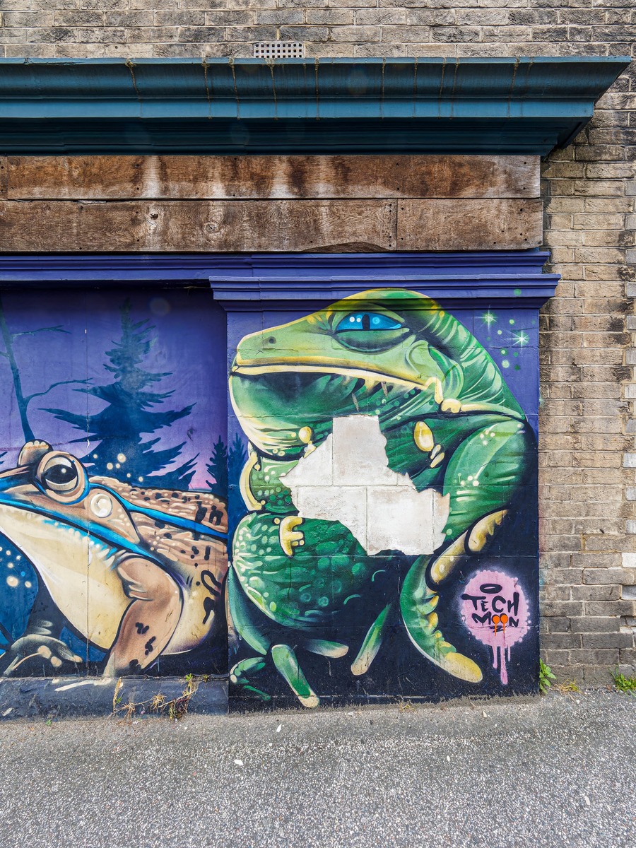 Tree Frogs | Art UK