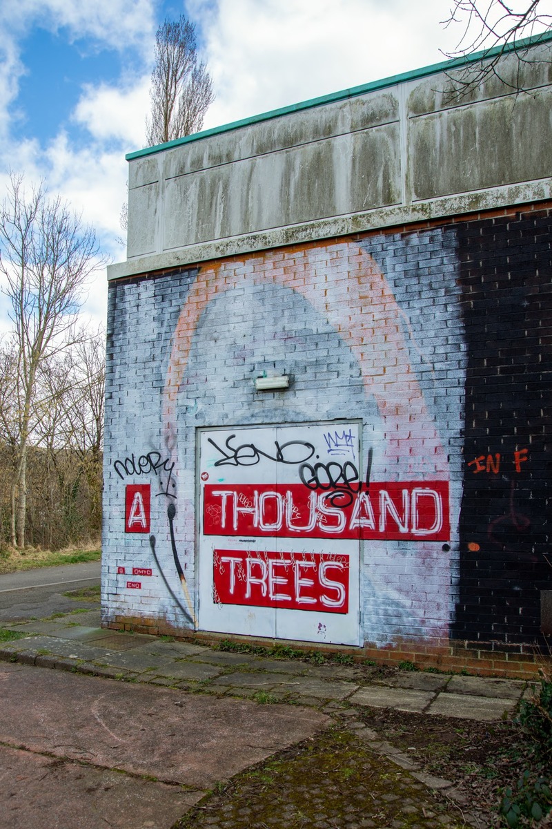 A Thousand Trees | Art UK