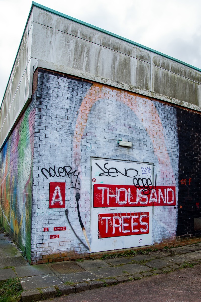 A Thousand Trees | Art UK