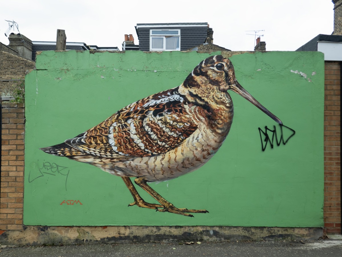 Snipe | Art UK