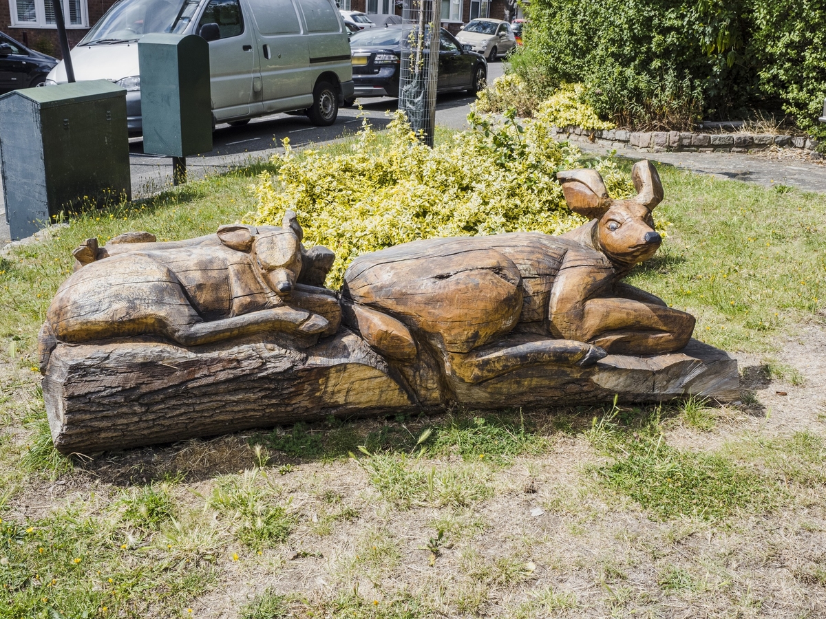 Fallow Deer | Art UK