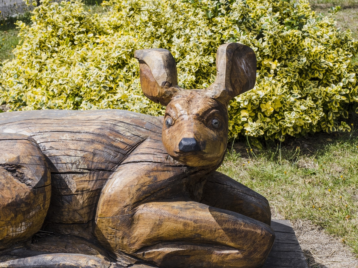 Fallow Deer | Art UK