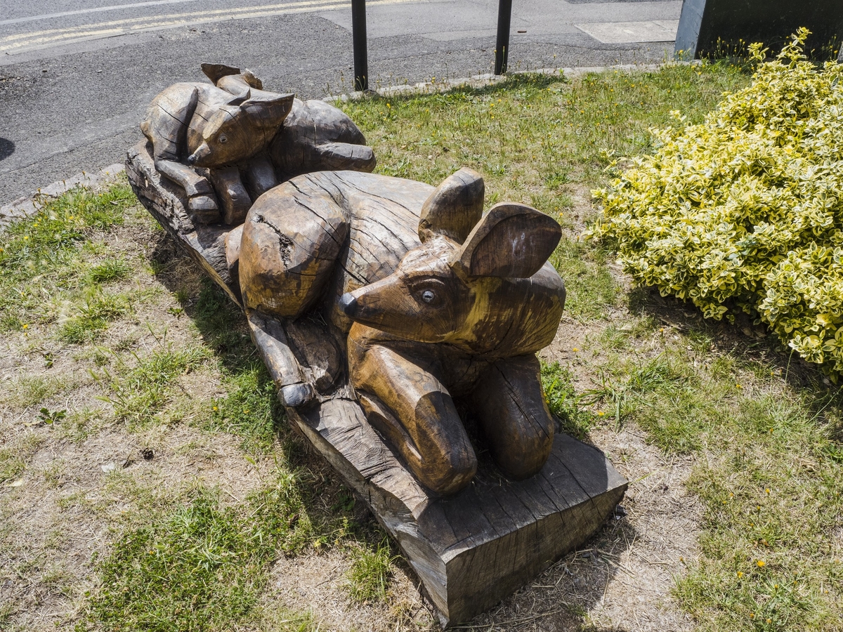 Fallow Deer | Art UK