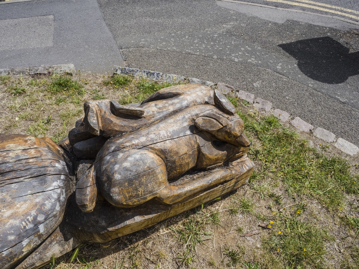 Fallow Deer | Art UK