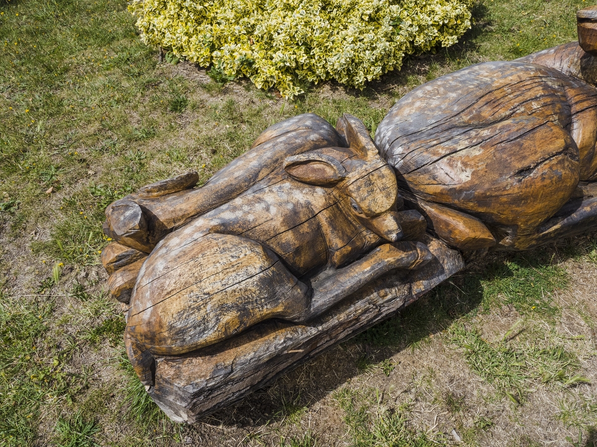 Fallow Deer | Art UK