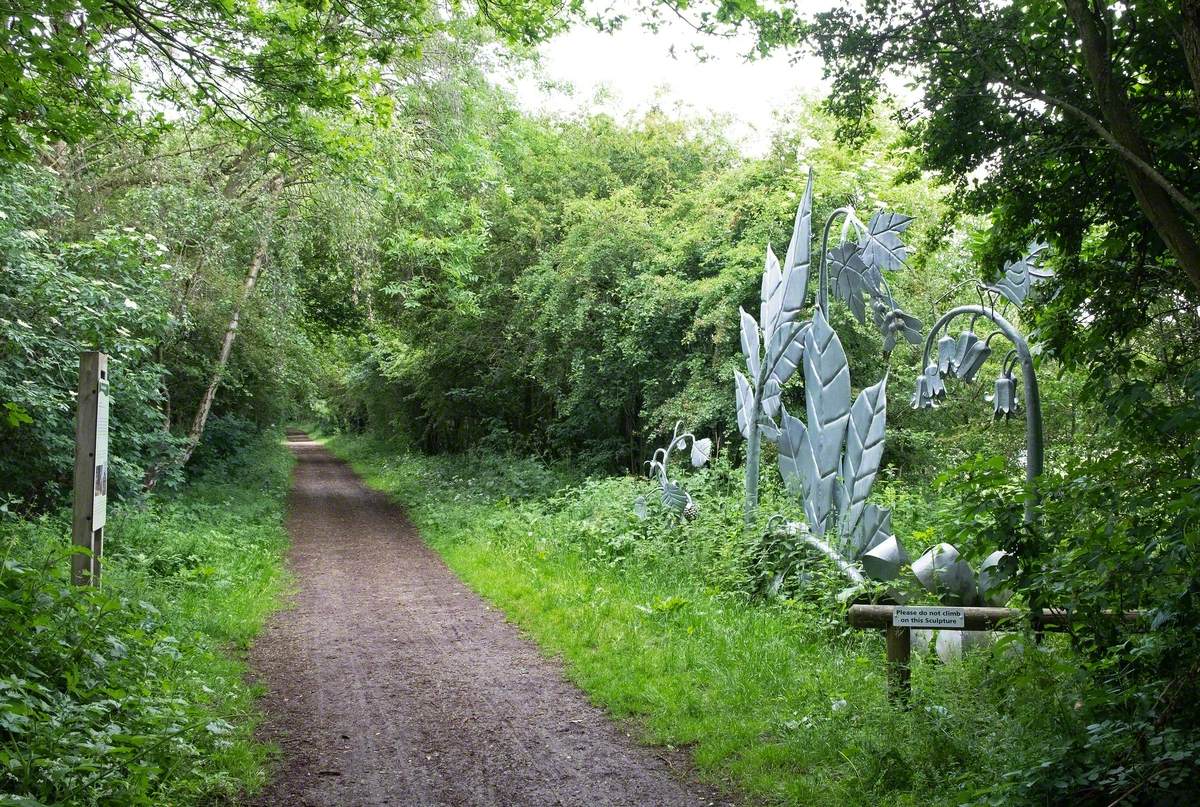 Nature Magnified | Art UK