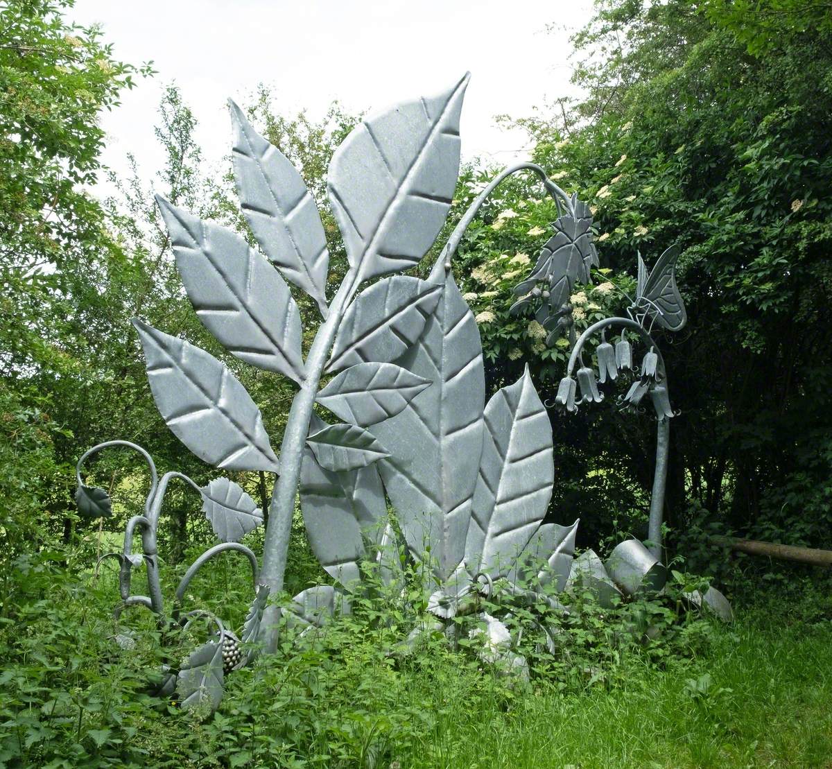 Nature Magnified | Art UK