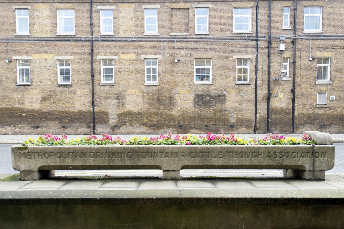 Animal Drinking Trough | Art UK