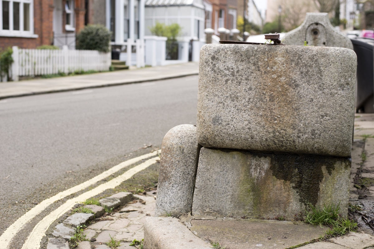 Animal Drinking Trough | Art UK