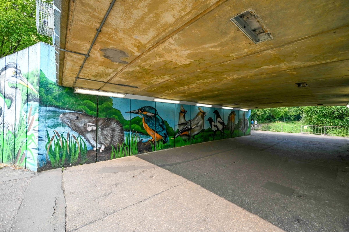 Wildlife (Underpass mural) | Art UK