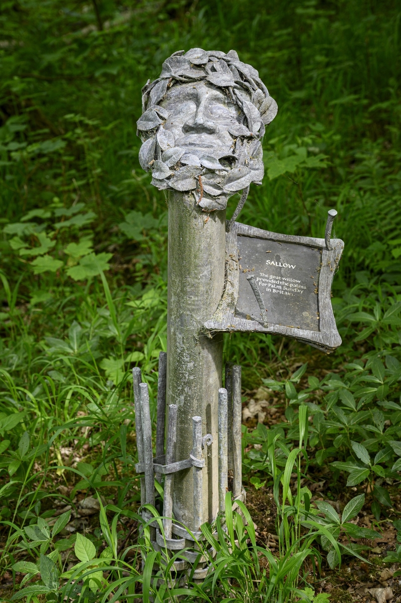 Tree Marker – Sallow | Art UK