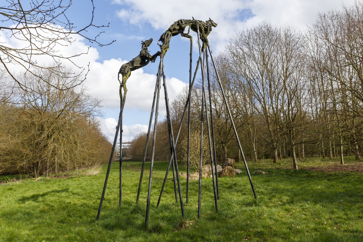 Wish Hounds | Art UK