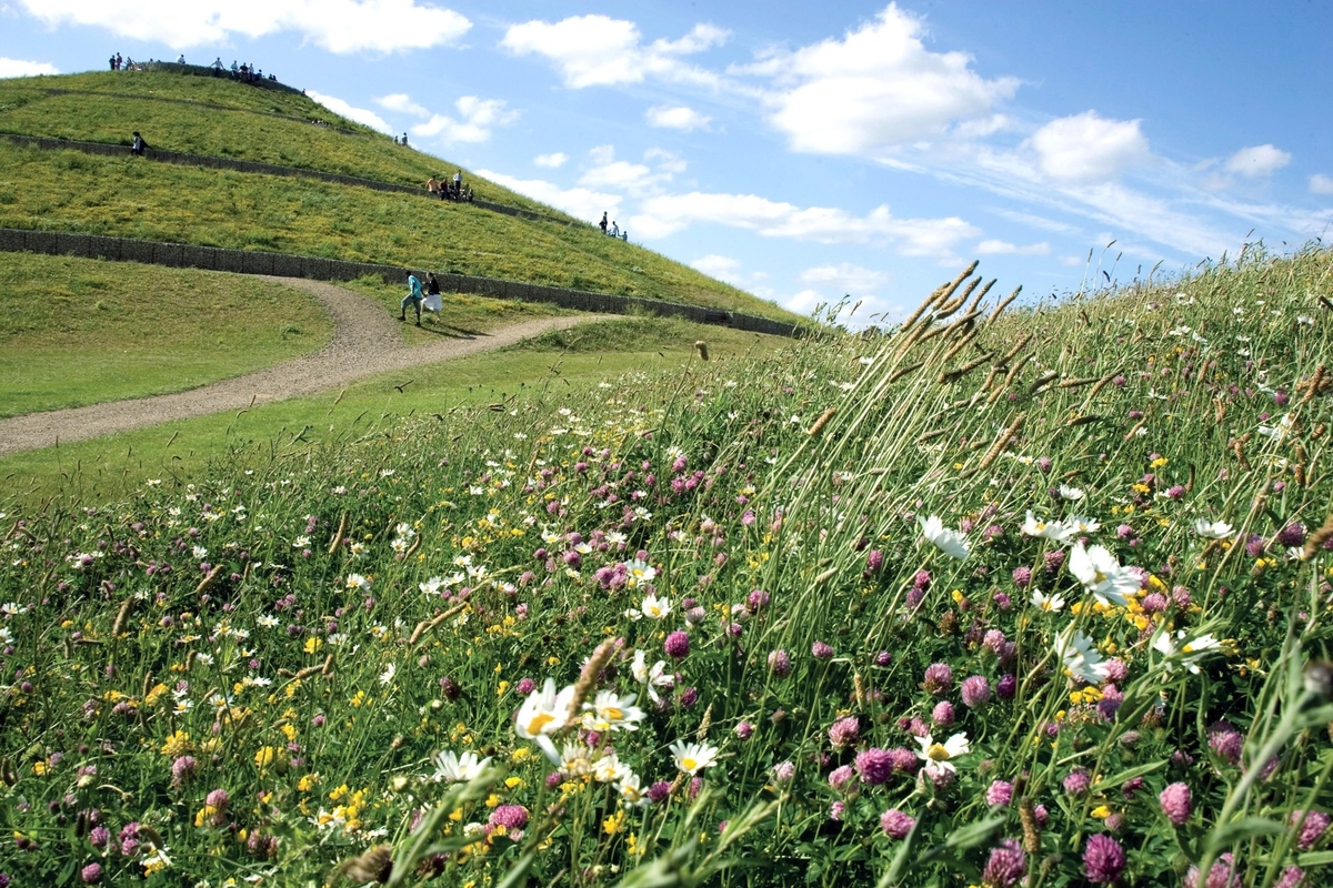 Northala Fields | Art UK