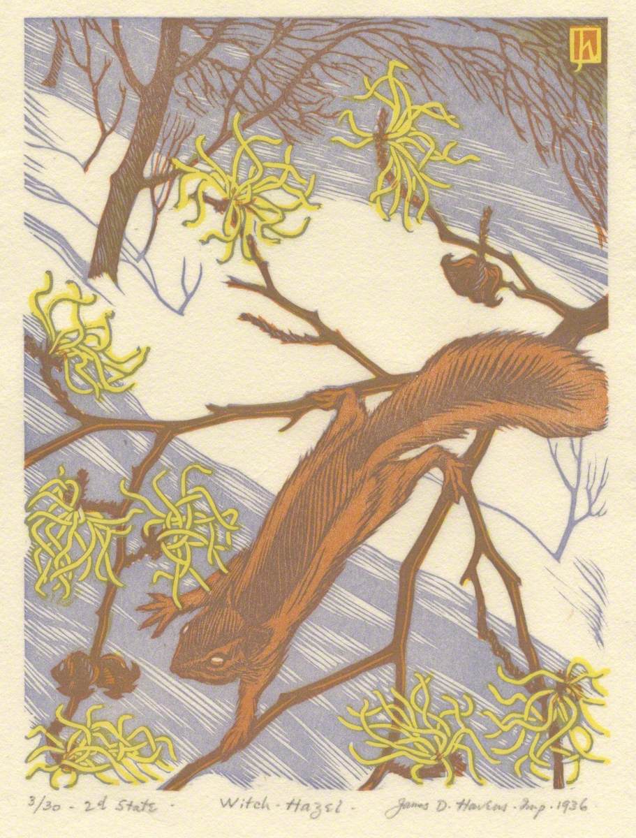 Witch Hazel | Art UK