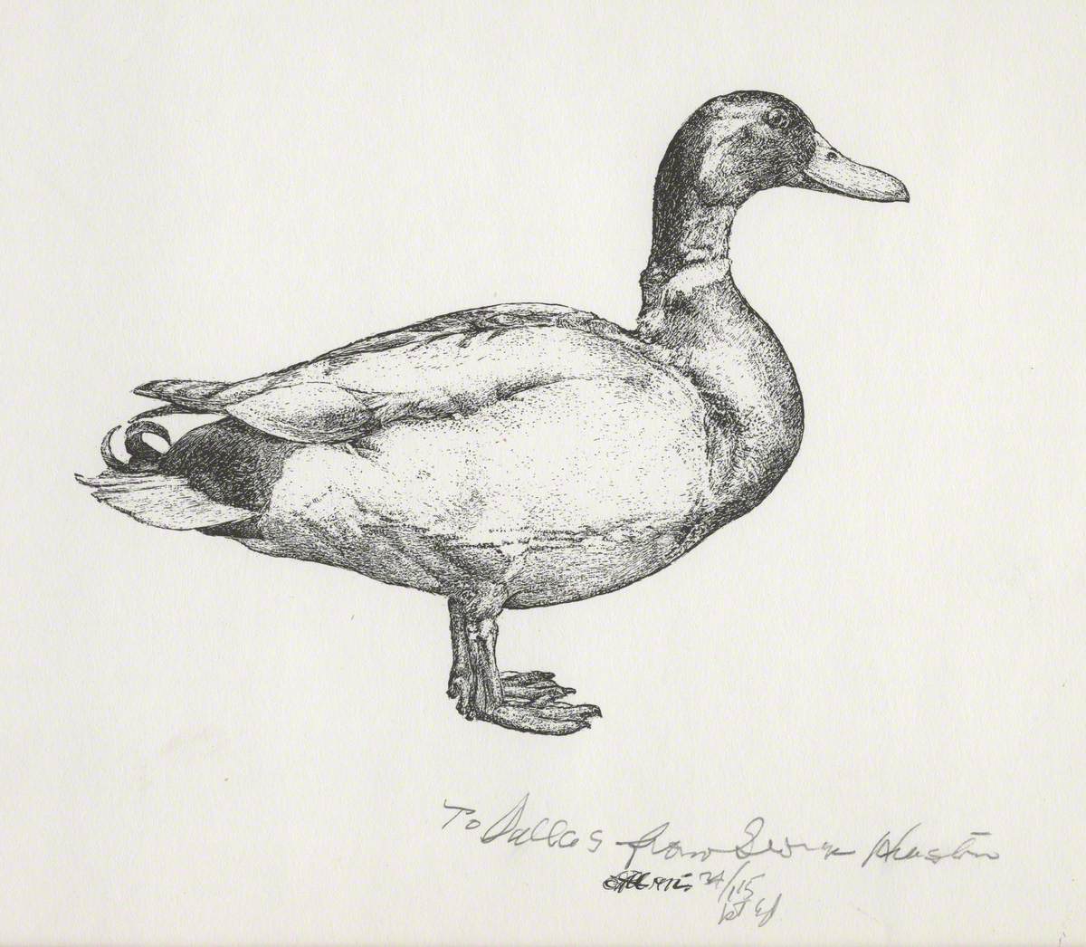 Duck | Art UK