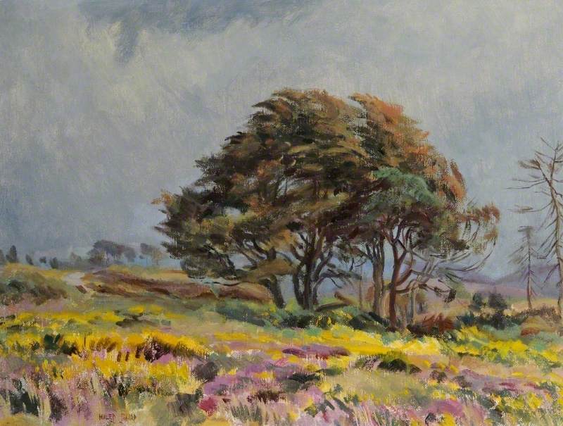 Heather and Gorse, Woodbury Common, East Devon | Art UK