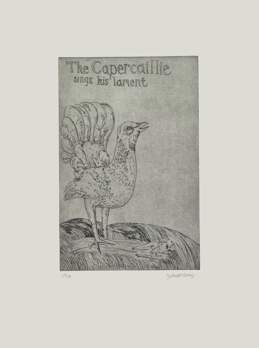 The Scottish Bestiary | Art UK