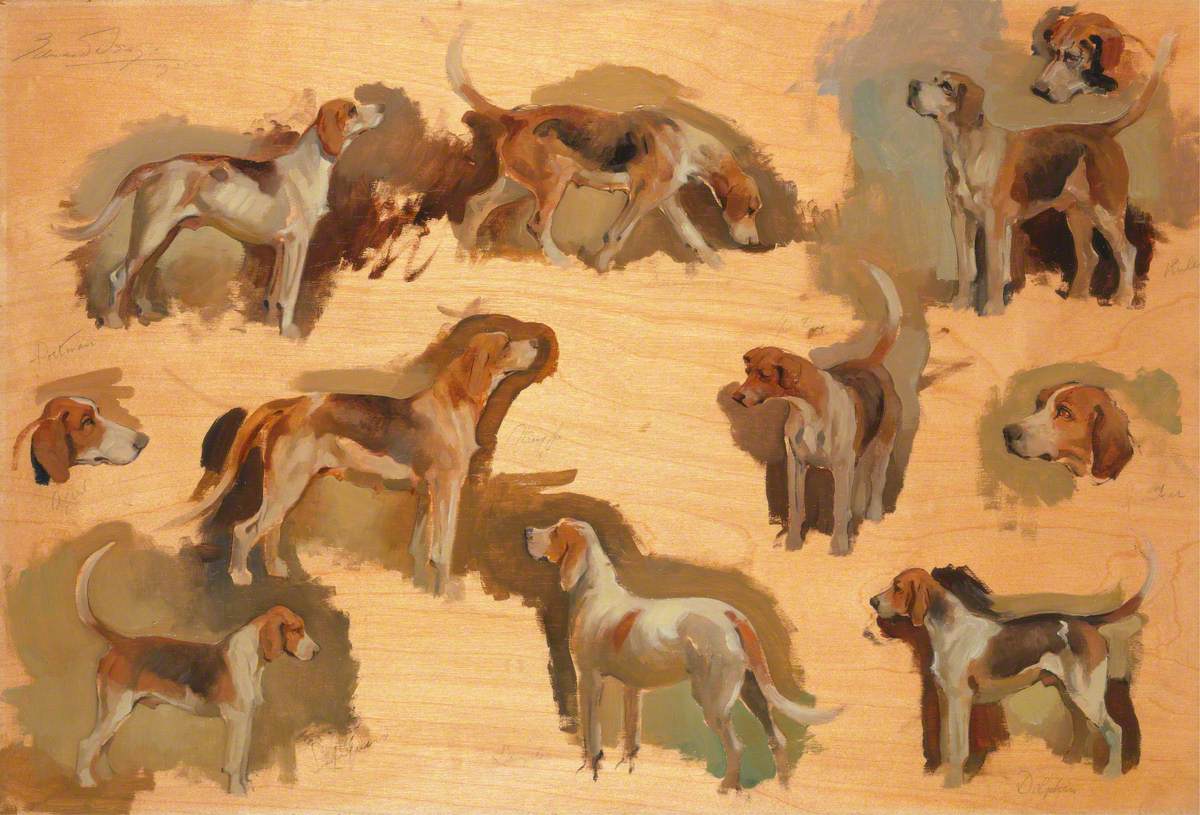 Sketches of Eleven Hounds of the Tedworth Park Hunt | Art UK
