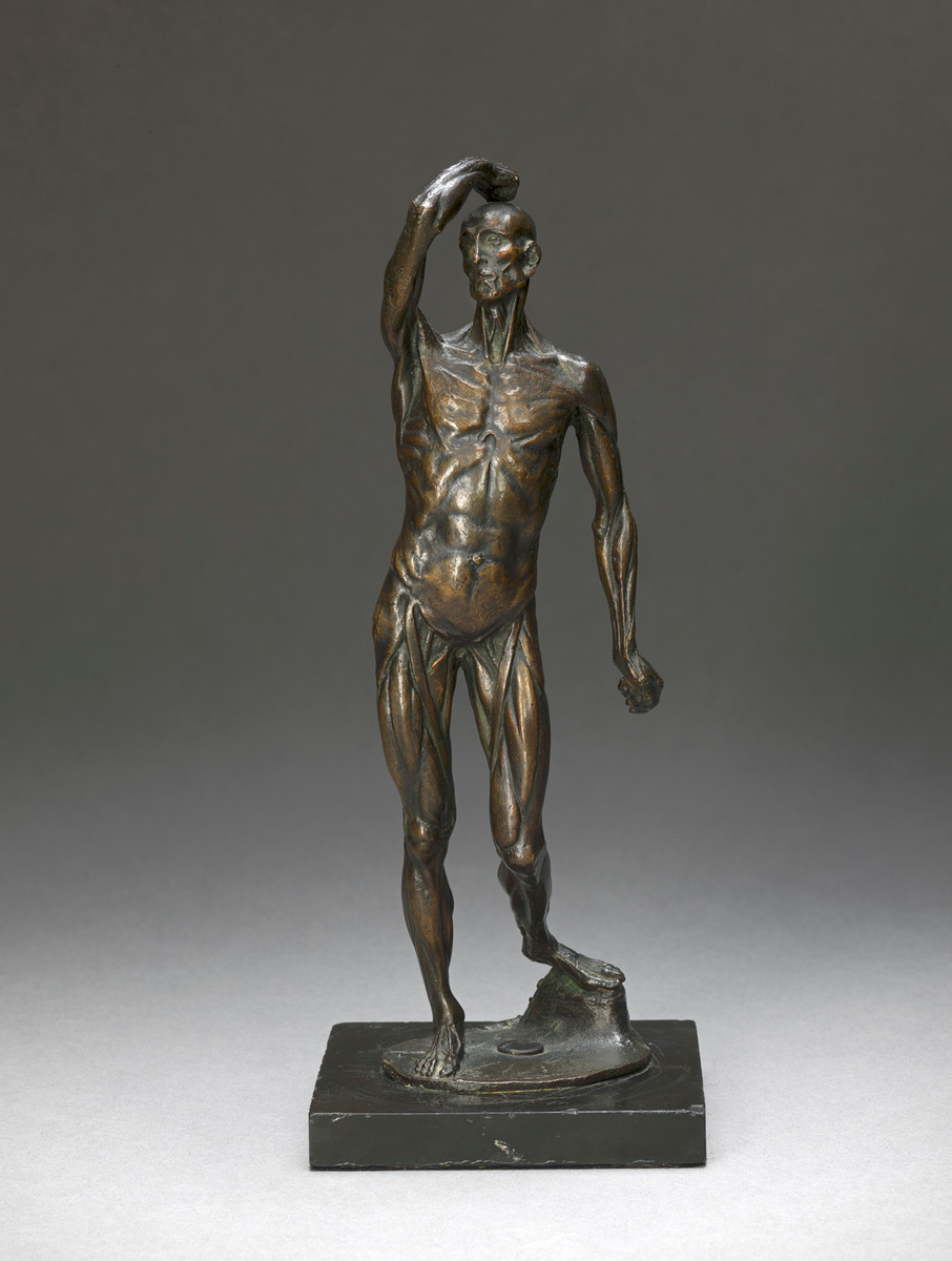 Ecorché Figure | Art UK